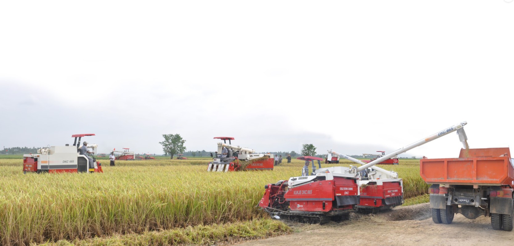 မိုးစပါးနှင့်နွေစပါးအတွက် အခြေခံရည်ညွှန်းစပါးဈေးနှုန်းကို ငွေကျပ