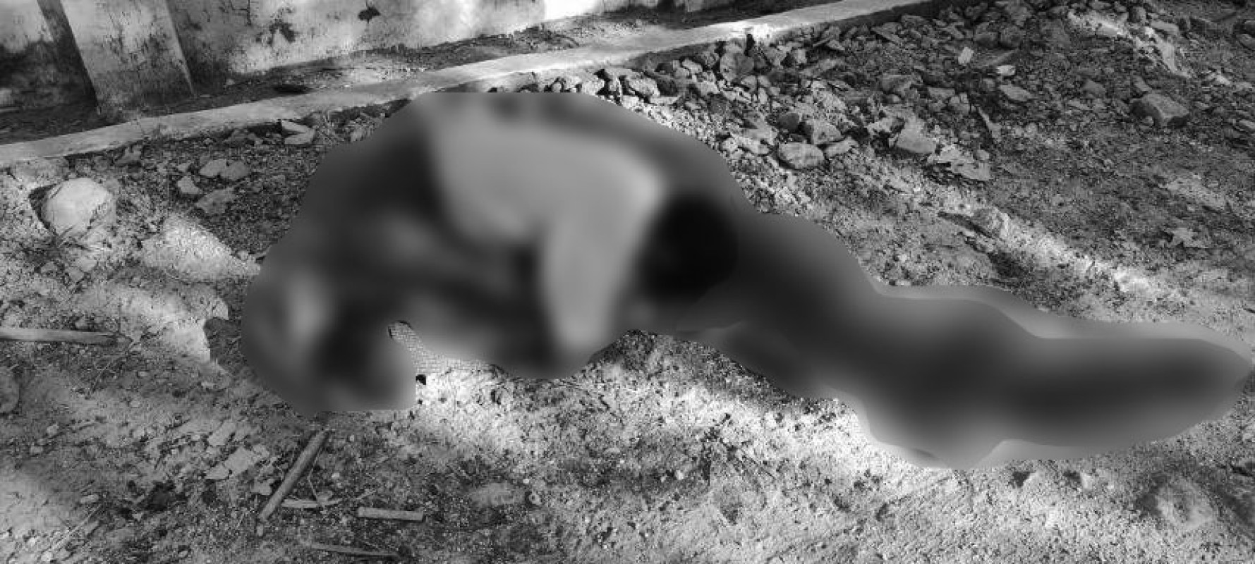 Pdf များက သံဃာတော်တစ်ပါးကို လည်ပင်းဖြတ်ကာ သတ်ဖြတ်မှုနှင့် စာသင်ကြားနေသည့် ကျောင်းအုပ်နှင့်ဆရာမမ