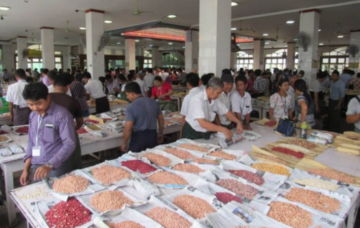 ၂ဝ၂၂ ၂ဝ၂၃ ဘဏ္ဍာနှစ်ရဲ့ ပထမ ၁၁ လအတွင်း ပြည်ပနိုင်ငံများထံ ပဲမျိုးစုံတန်ခ
