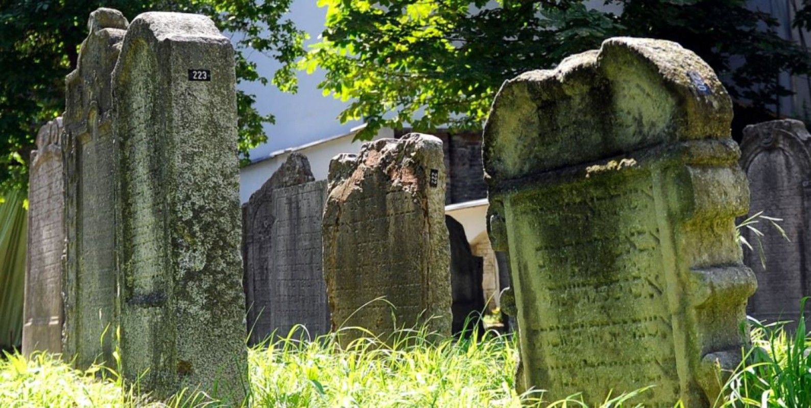 ဩစတြီးယားနိုင်ငံ ဗီယင်နာမြို့ရှိ ဂျူးသင်္ချိုင်း မီးရှို့ဖျက်ဆီးခံရ