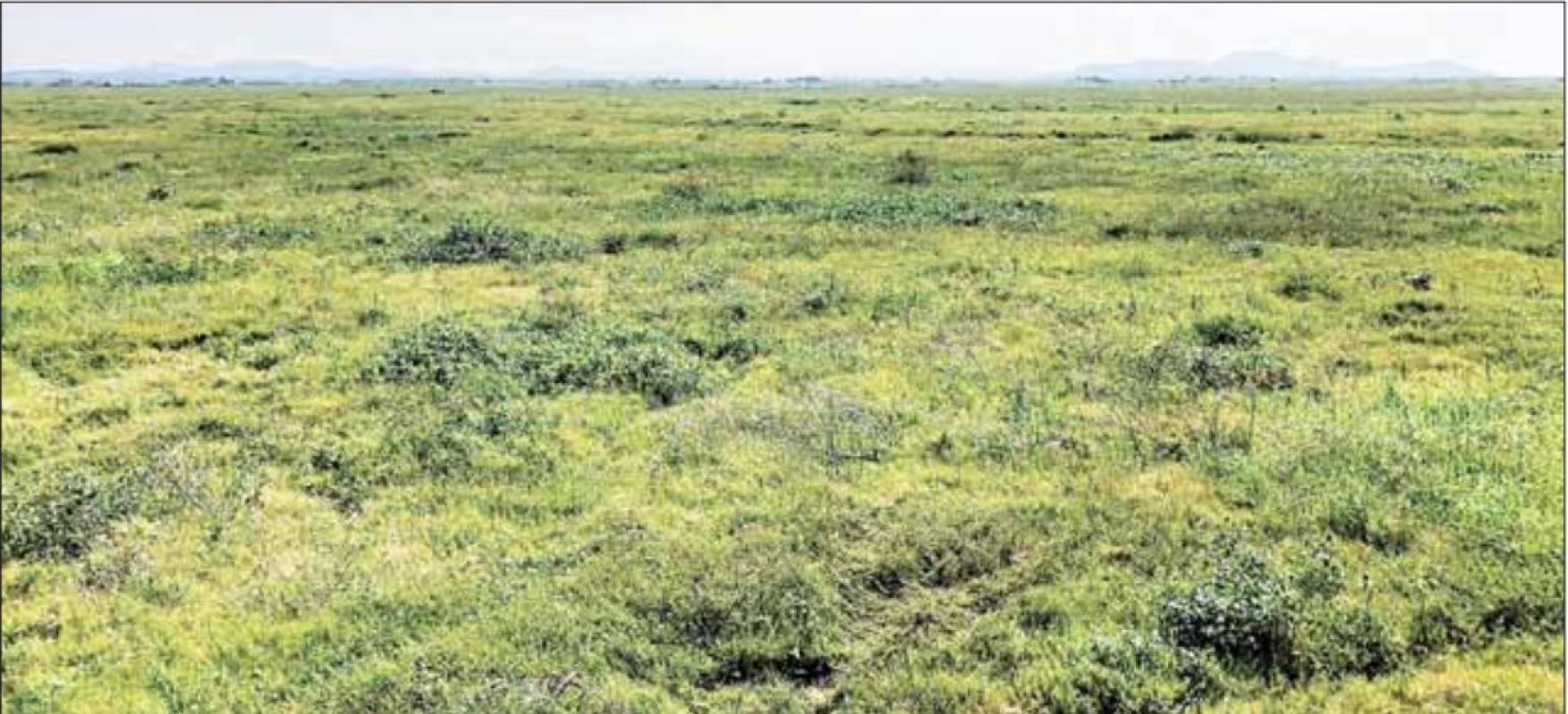 ကျိုက်ထိုမြို့နယ်တွင် ဒီရေတော ဧက ၂၂ဝဝ ကျော်ကို ထိန်းသိမ်းရေးနယ်မြေ သတ်မှတ်