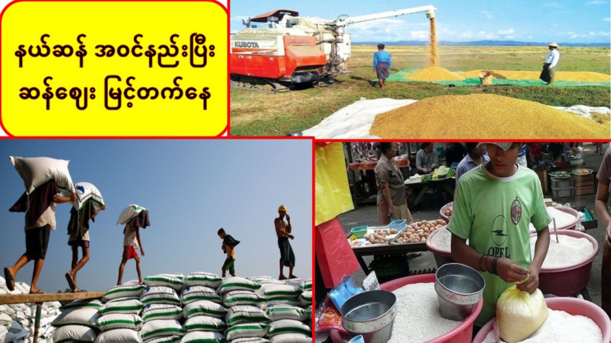 နယ်ဆန် အဝင်နည်းပြီး ဆန်ဈေး မြင့်တက်နေ