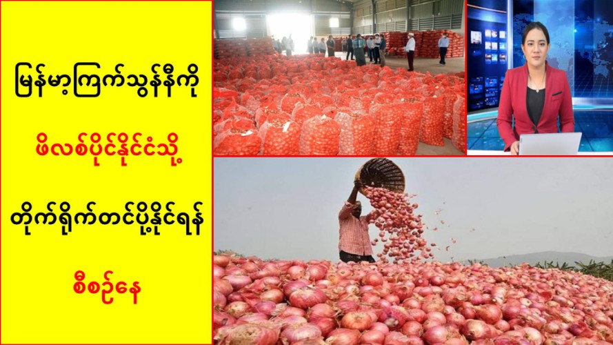 မြန်မာ့ကြက်သွန်နီကို ဖိလစ်ပိုင်နိုင်ငံသို့ တိုက်ရိုက်တင်ပို့နိုင်ရန်စီစဉ်နေ