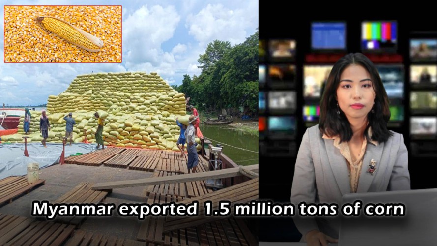 Myanmar exported 1.5 million tons of corn